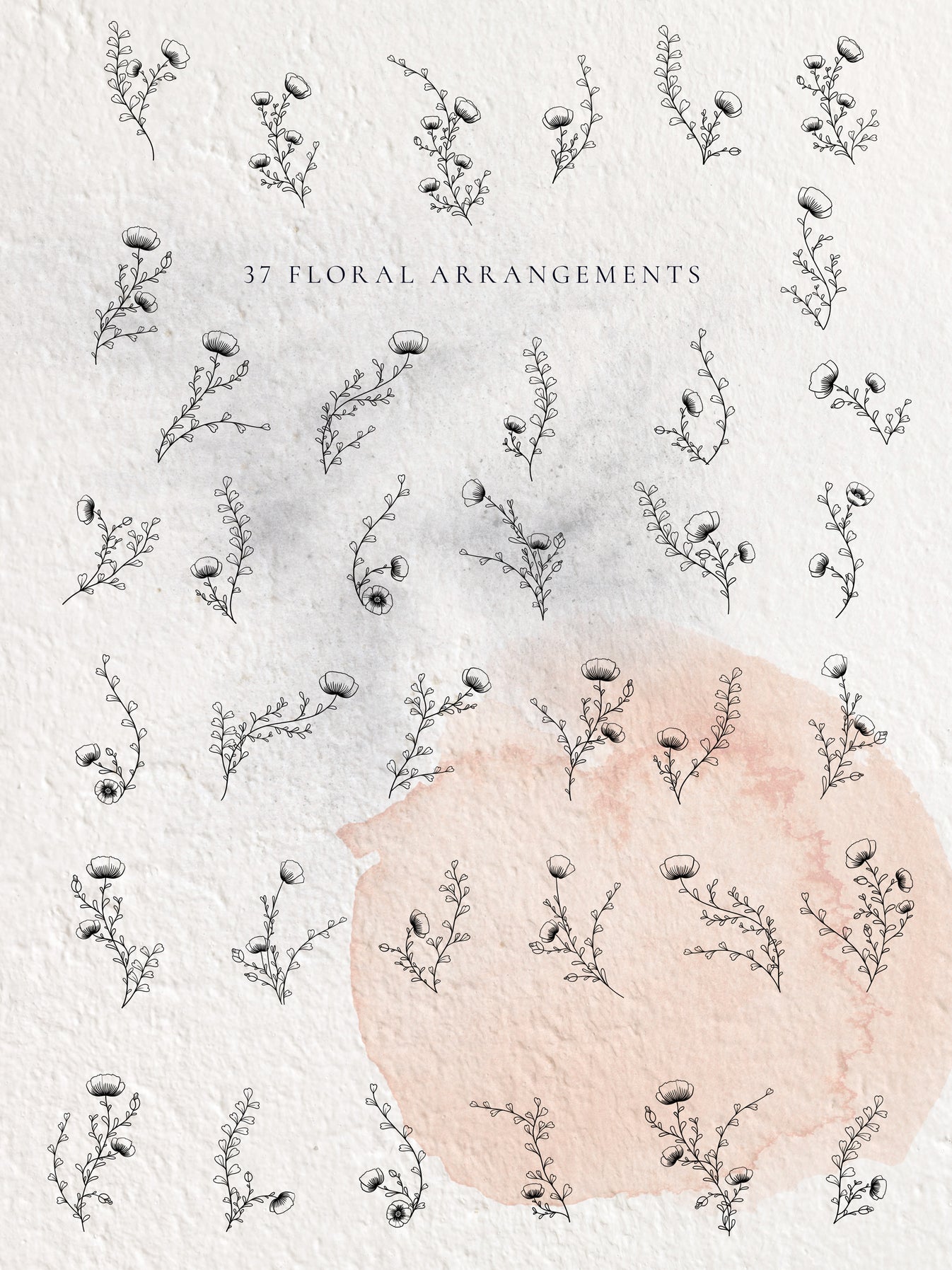 Botanical Alphabet & Graphic Watercolor Collection • 400 Floral Elemen ...